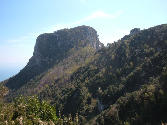 MONTE FALERIO
